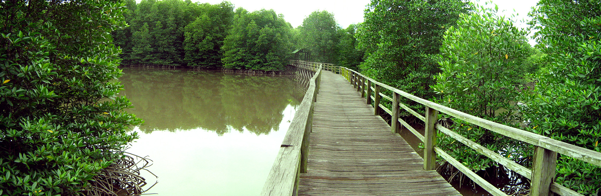 Index of /Fauna/Zoo/WetLand/