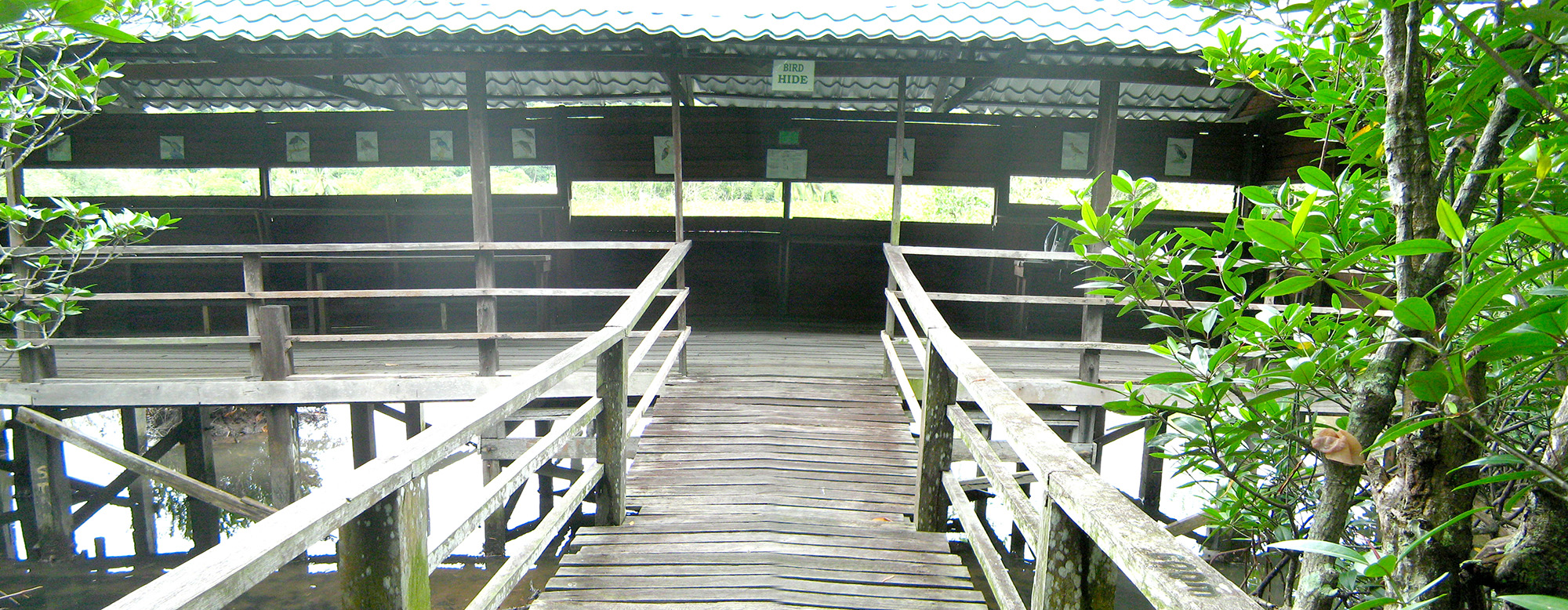Index of /Fauna/Zoo/WetLand/