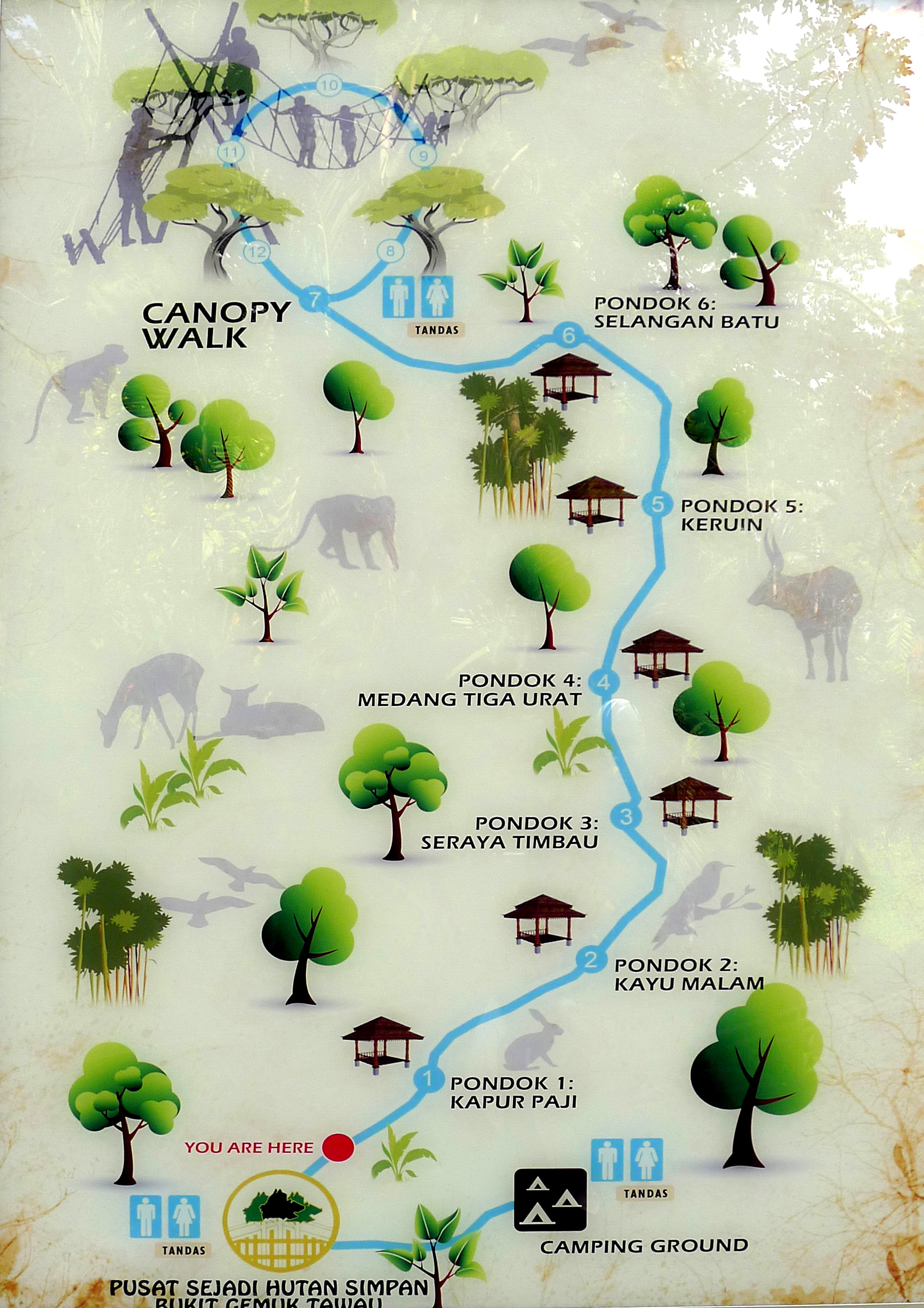Index of /PlacesInterest/Bukit_Gemok/BukitGemokPark/