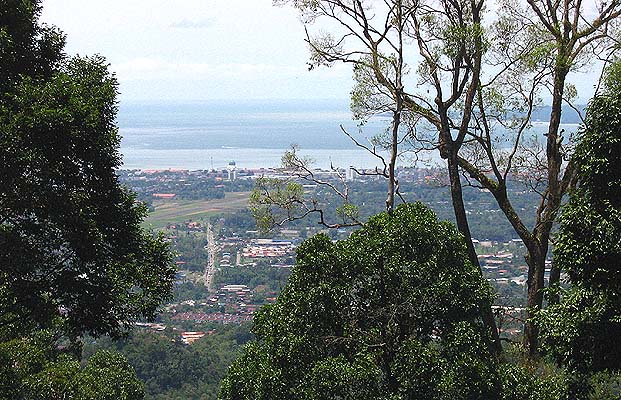 Bukit Gemok Canopy Walk